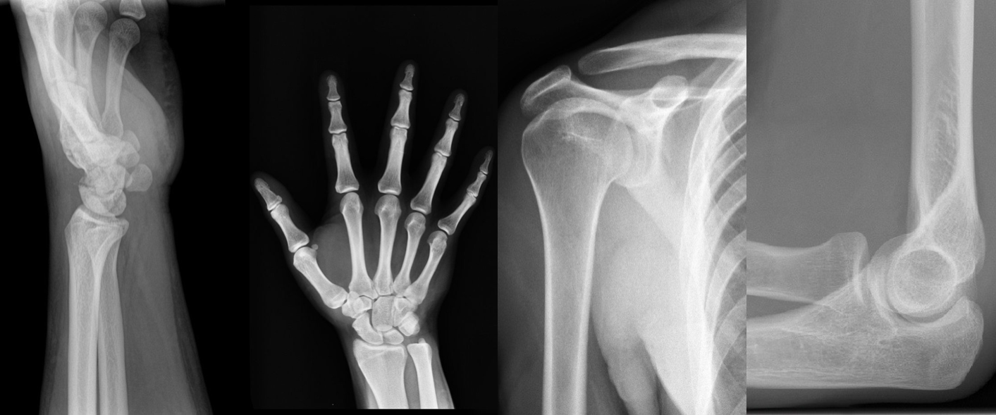 Shield Radiology – Radiology Reports and Consulting